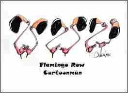 Flamingo Row | Keith Cartoonman Douglas | Magnet